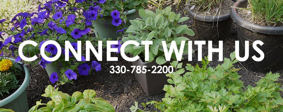 Plastic plant packs, trays, pots, containers | Akron, Ohio | Landmark ...